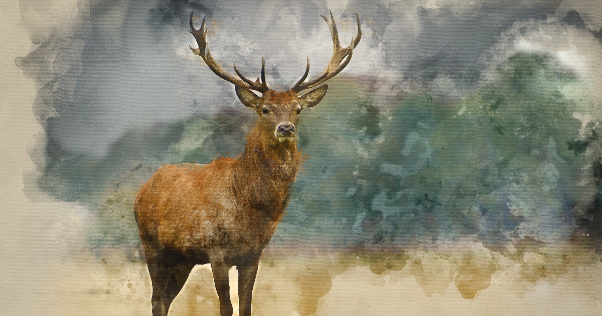 Deer Symbolism In History Literature Film Different World Cultures Deer Symbolism In History Literature Film Different World Cultures