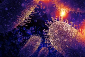 Can Deer Get Rabies? (and what happens if they do) - World Deer