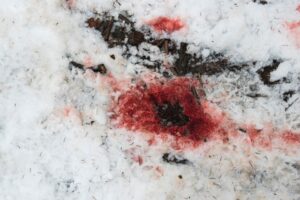 Explaining Deer Blood Color (chart included) - World Deer