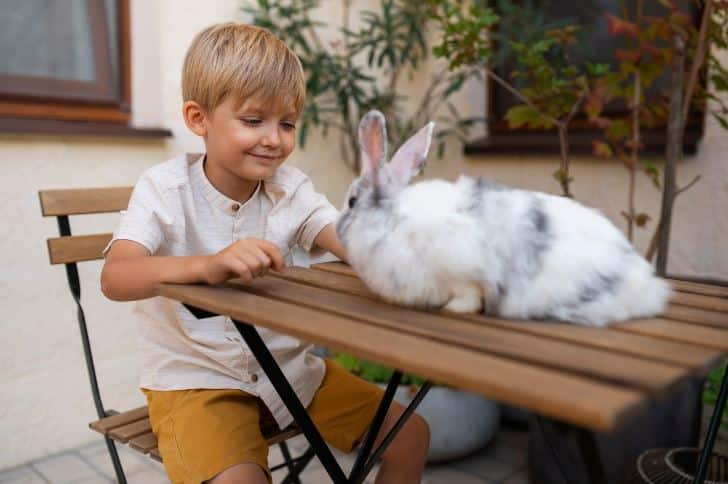 All About Rabbits: Behavior, Care, and Fascinating Insights - World Deer