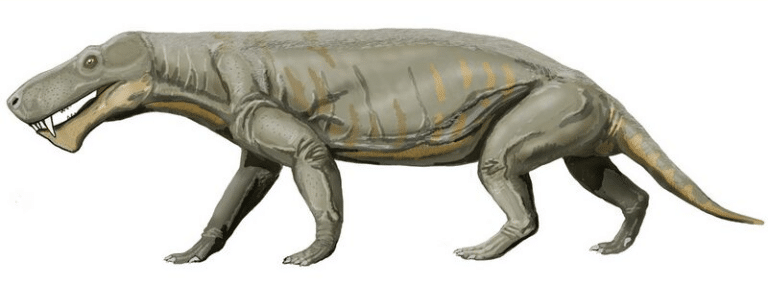 Unraveling Gorgonopsia: Ancient Predators of the Prehistoric World ...